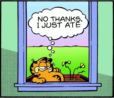 Garfield Eet Strips