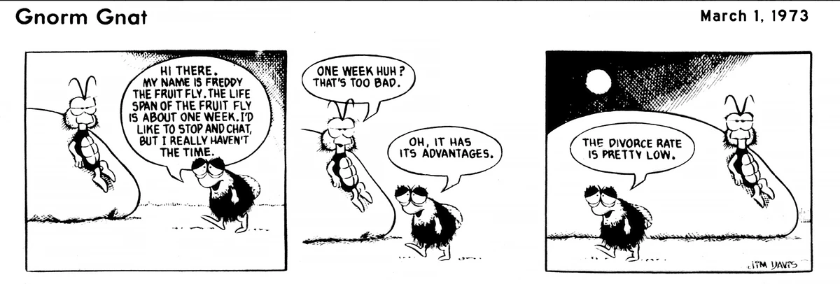 Gnorm Gnat, 1973 comic strips | Garfield Wiki | Fandom