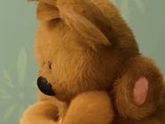 Pooky/Gallery | Garfield Wiki | Fandom