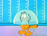 Garfield and Friends Season 1 Quickies | Garfield Wiki | Fandom
