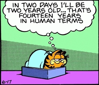 Garfield Face Down Bed