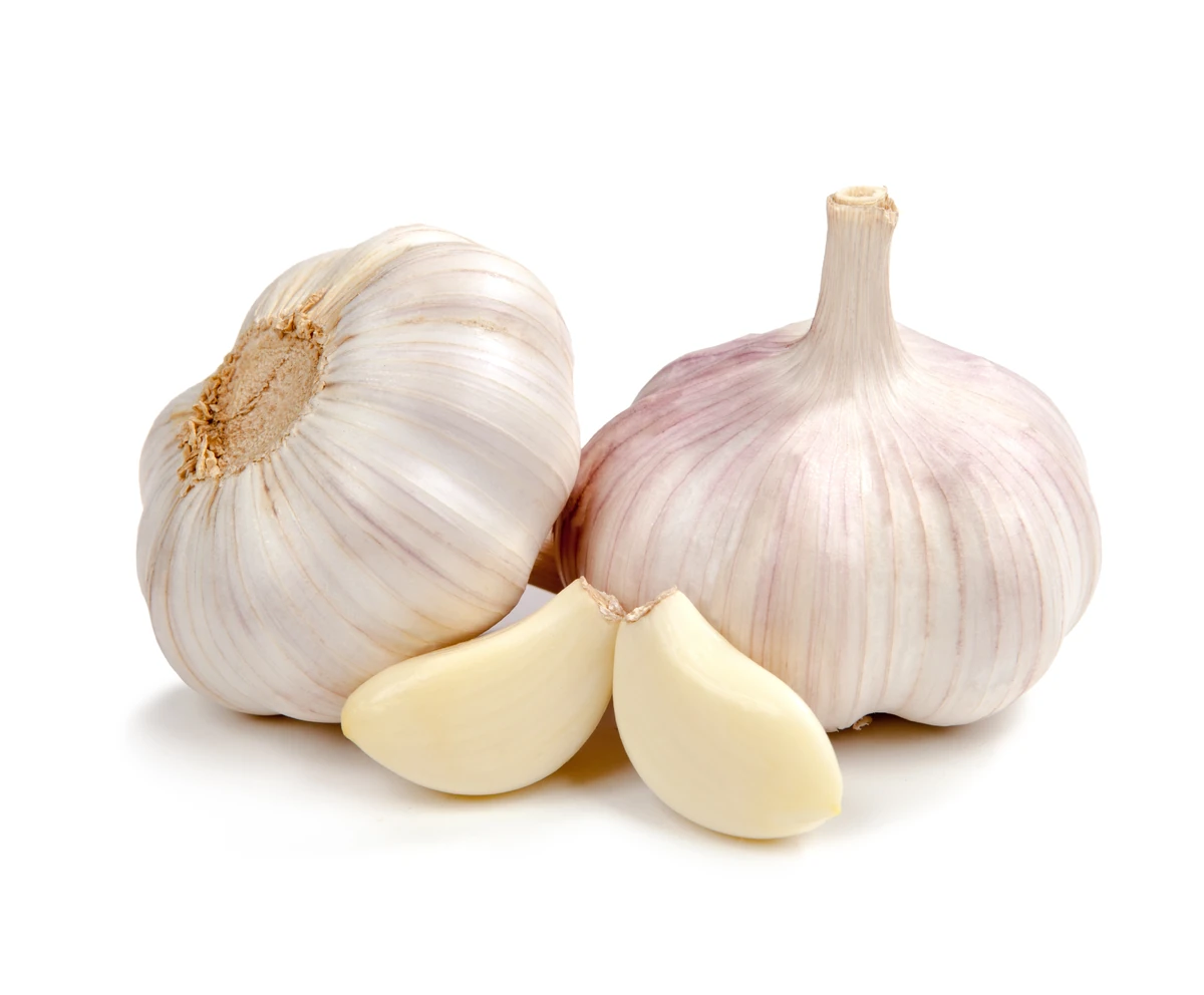 Garlic Garlic | Garlic Wiki | Fandom
