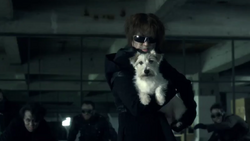 Horrors (Ryūga-verse) | GARO Wiki | Fandom