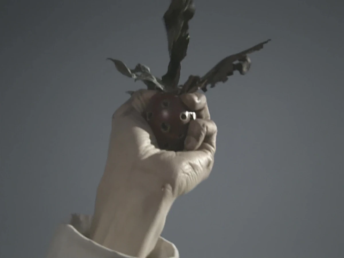 Barankas Fruit | GARO Wiki | Fandom