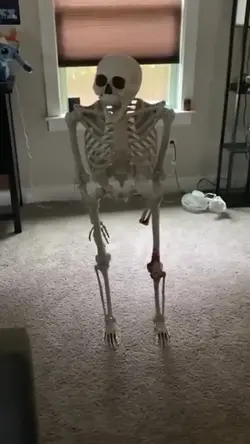 Mr. Skeleton | Garten Of Banban OCFanon Wiki | Fandom