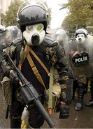 PBF | Gas Mask and Respirator Wiki | Fandom