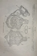 GP-7V | Gas Mask and Respirator Wiki | Fandom