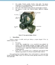 S6 NBC Respirator | Gas Mask and Respirator Wiki | Fandom