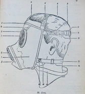 34M | Gas Mask and Respirator Wiki | Fandom