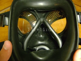 FM12 | Gas Mask and Respirator Wiki | Fandom