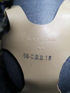 ANP M51 | Gas Mask and Respirator Wiki | Fandom