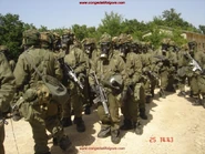 M90 | Gas Mask and Respirator Wiki | Fandom