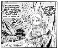 Elves | Gate - Thus the JSDF Fought There! Wiki | Fandom