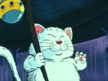 Karín | Wiki Gatopedia | Fandom