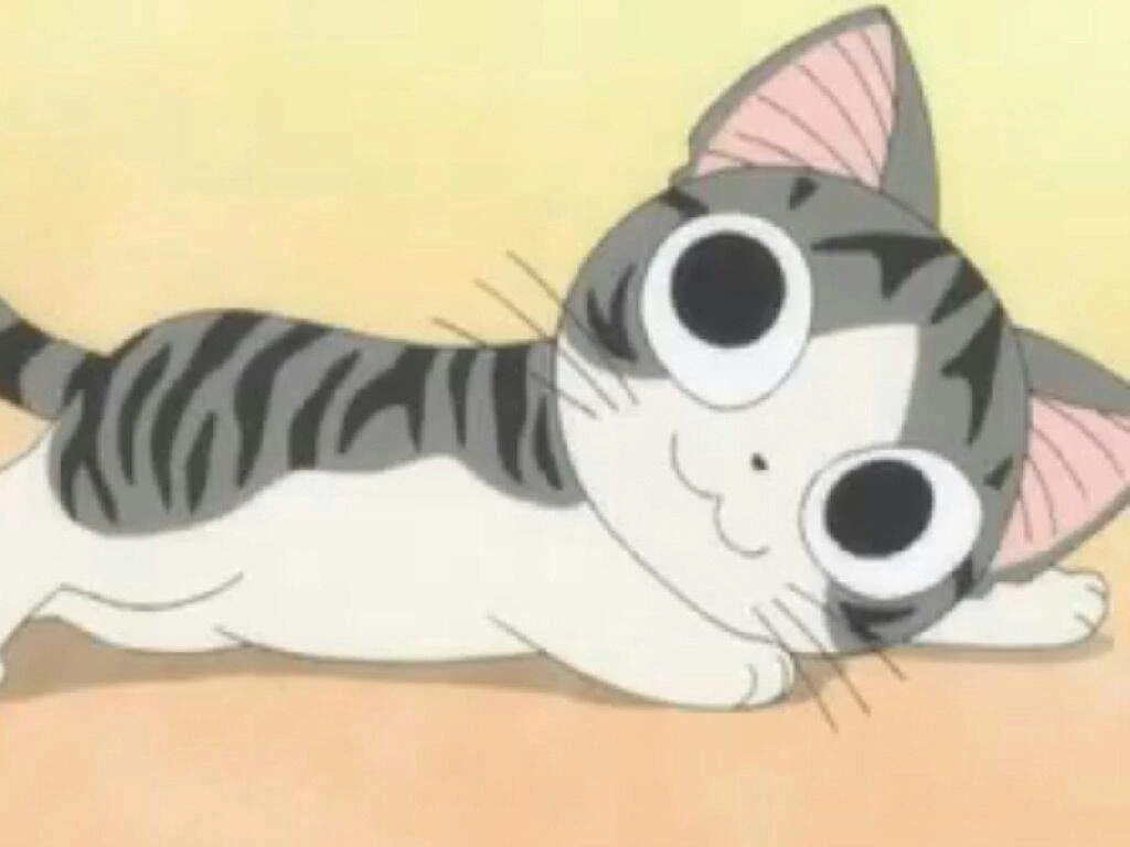 El dulce hogar de Chi | Wiki Gatopedia | Fandom