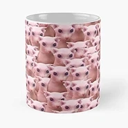 Bingus | Wiki Gatopedia | Fandom