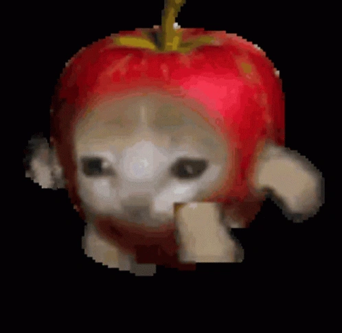 Gato Manzana | Wiki Gatopedia | Fandom