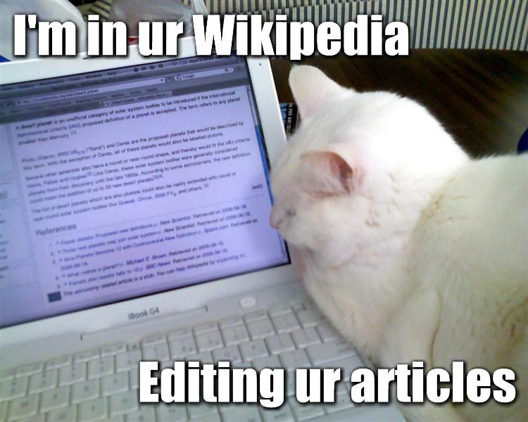 Lolcat | Wiki Gatopedia | Fandom