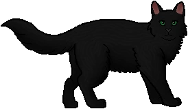 Chamuscado | Los Gatos Guerreros Wiki | Fandom