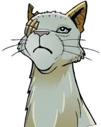 Centella | Los Gatos Guerreros Wiki | Fandom