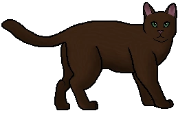 Sapero | Los Gatos Guerreros Wiki | Fandom