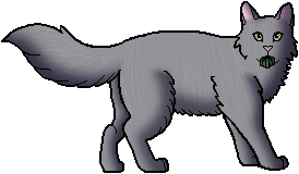 Featherwhisker | Los Gatos Guerreros Wiki | Fandom