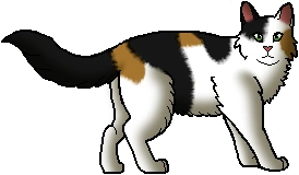 Cherrytail | Los Gatos Guerreros Wiki | Fandom