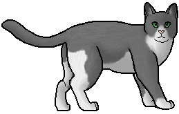 Ratonero | Los Gatos Guerreros Wiki | Fandom