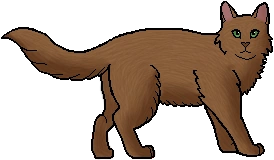 Matojo | Los Gatos Guerreros Wiki | Fandom