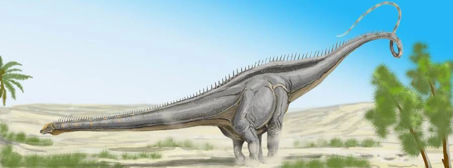 Diplodocus | GavenLovesAnimals' Animal Kindom Wiki | Fandom