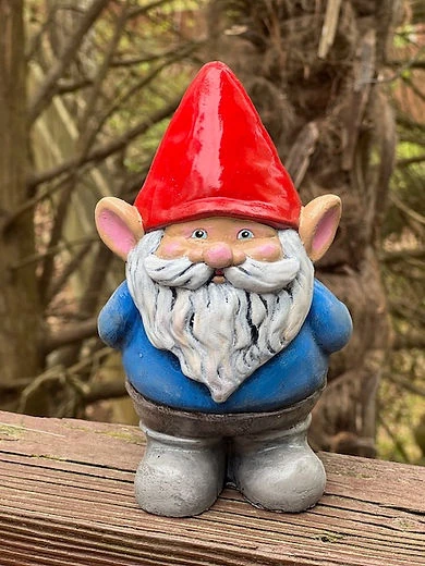 Gnome | GavenLovesAnimals' Animal Kindom Wiki | Fandom