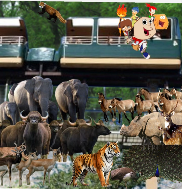 Wild Asia Monarail | GavenLovesAnimals' Animal Kindom Wiki | Fandom