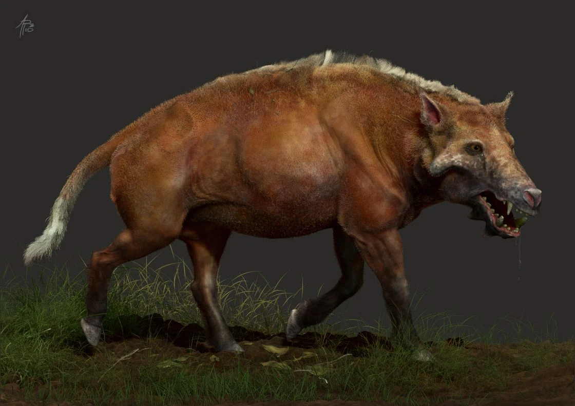 Daeodon | GavenLovesAnimals' Animal Kindom Wiki | Fandom