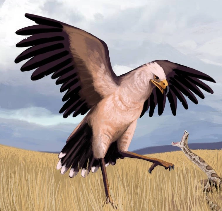 Daggett's Eagle | GavenLovesAnimals' Animal Kindom Wiki | Fandom