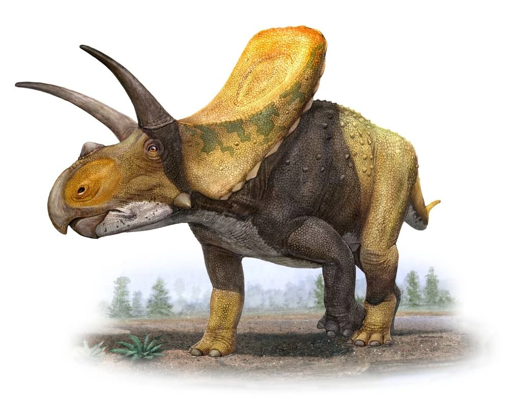 Torosaurus | GavenLovesAnimals' Animal Kindom Wiki | Fandom