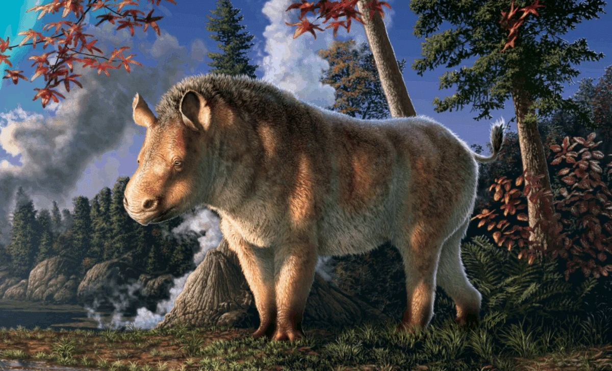 Epiaceratherium | GavenLovesAnimals' Animal Kindom Wiki | Fandom