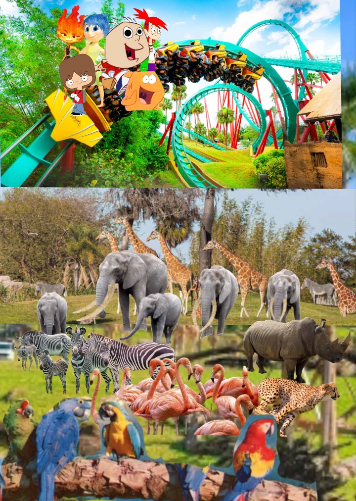Busch Gardens Tampa Bay | GavenLovesAnimals' Animal Kindom Wiki | Fandom