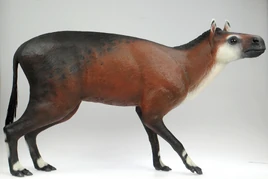 Eohippus | GavenLovesAnimals' Animal Kindom Wiki | Fandom