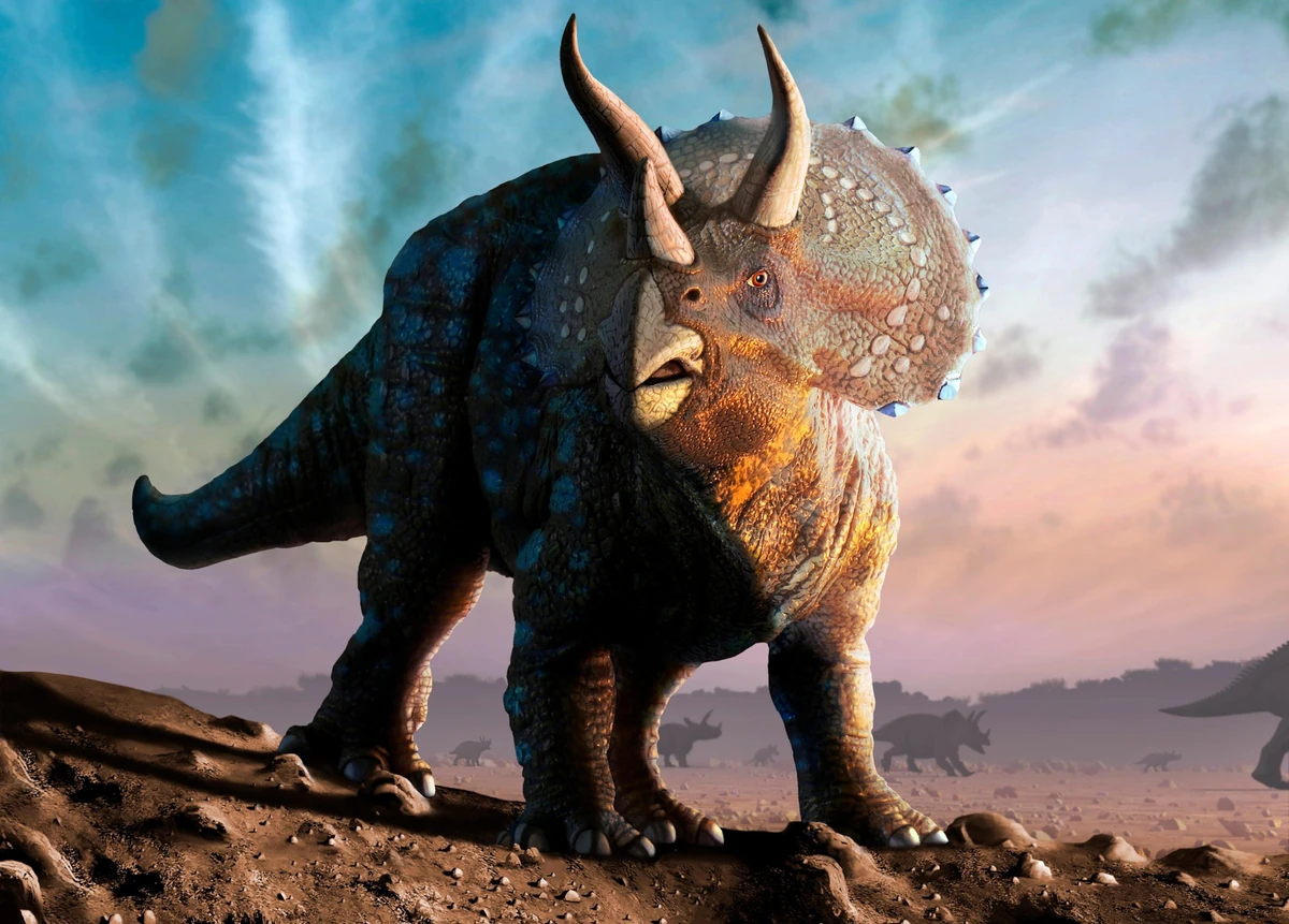 Triceratops | GavenLovesAnimals' Animal Kindom Wiki | Fandom