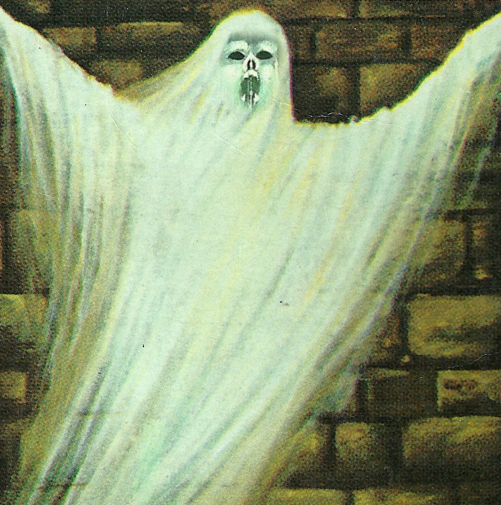 Ghost | GavenLovesAnimals' Animal Kindom Wiki | Fandom