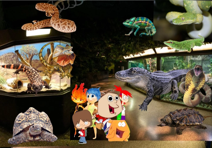 Reptile Discovery Center | GavenLovesAnimals' Animal Kindom Wiki | Fandom