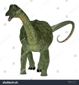 Saltasaurus | GavenLovesAnimals' Animal Kindom Wiki | Fandom