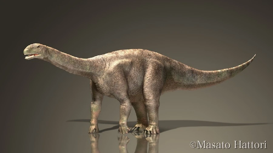 Bellusaurus | GavenLovesAnimals' Animal Kindom Wiki | Fandom
