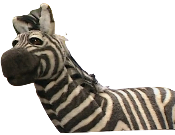 Randall the Zebra | GavenLovesAnimals' Animal Kindom Wiki | Fandom