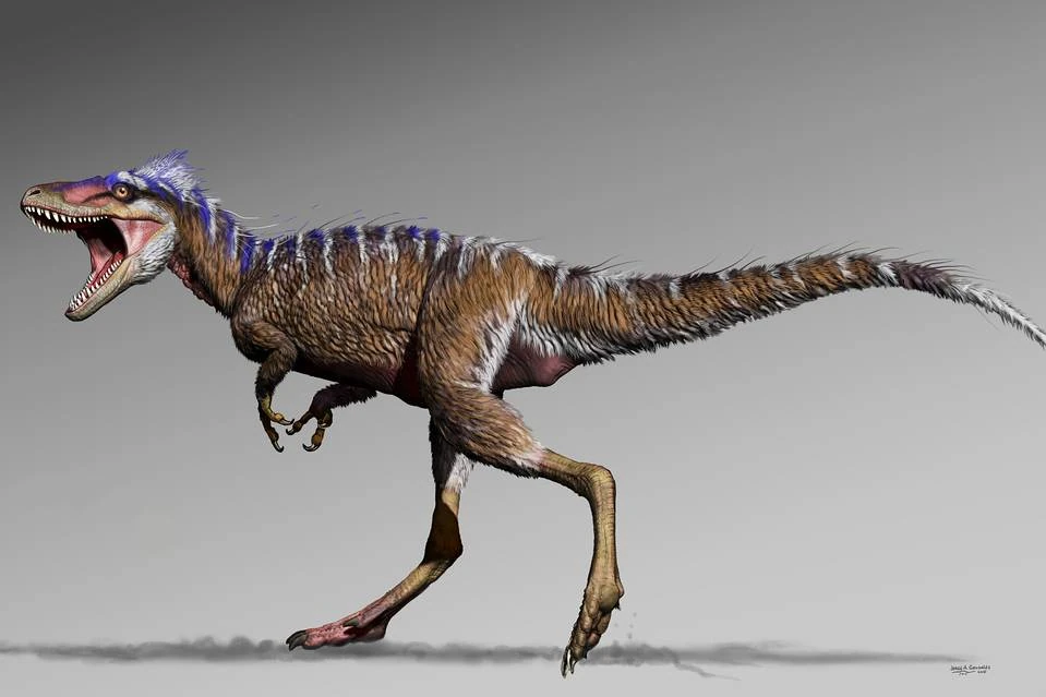 Raptorex | GavenLovesAnimals' Animal Kindom Wiki | Fandom