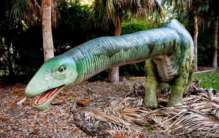 Apatosaurus/Gallery | GavenLovesAnimals' Animal Kindom Wiki | Fandom