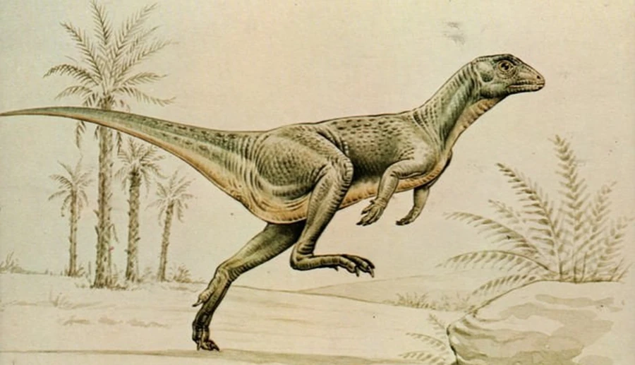 Fabrosaurus | GavenLovesAnimals' Animal Kindom Wiki | Fandom