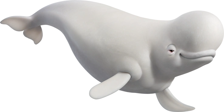 Bailey | GavenLovesAnimals' Animal Kindom Wiki | Fandom