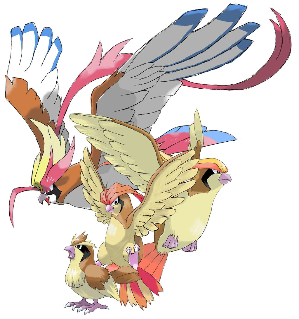 Pidgeot | GavenLovesAnimals' Animal Kindom Wiki | Fandom