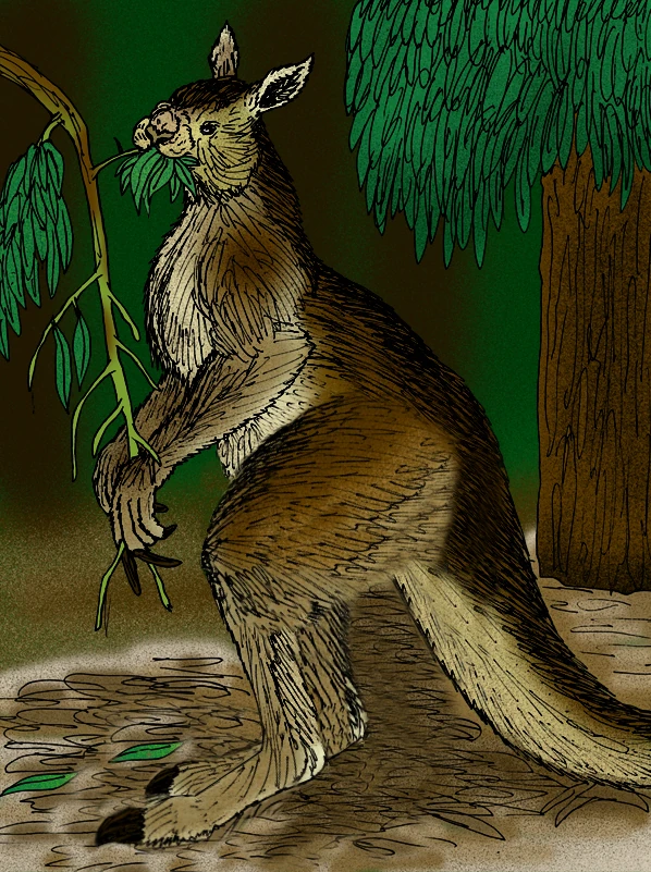 Procoptodon | GavenLovesAnimals' Animal Kindom Wiki | Fandom